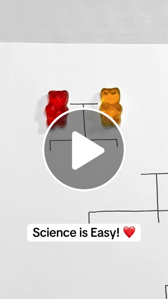 A simple explanation of genetics on a gummy bear #experiment #physics # ...
