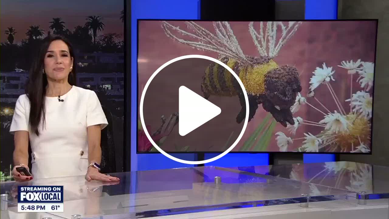 Rose Parade: How to view the floats - NewsBreak