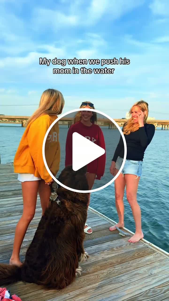 wait for it - NewsBreak