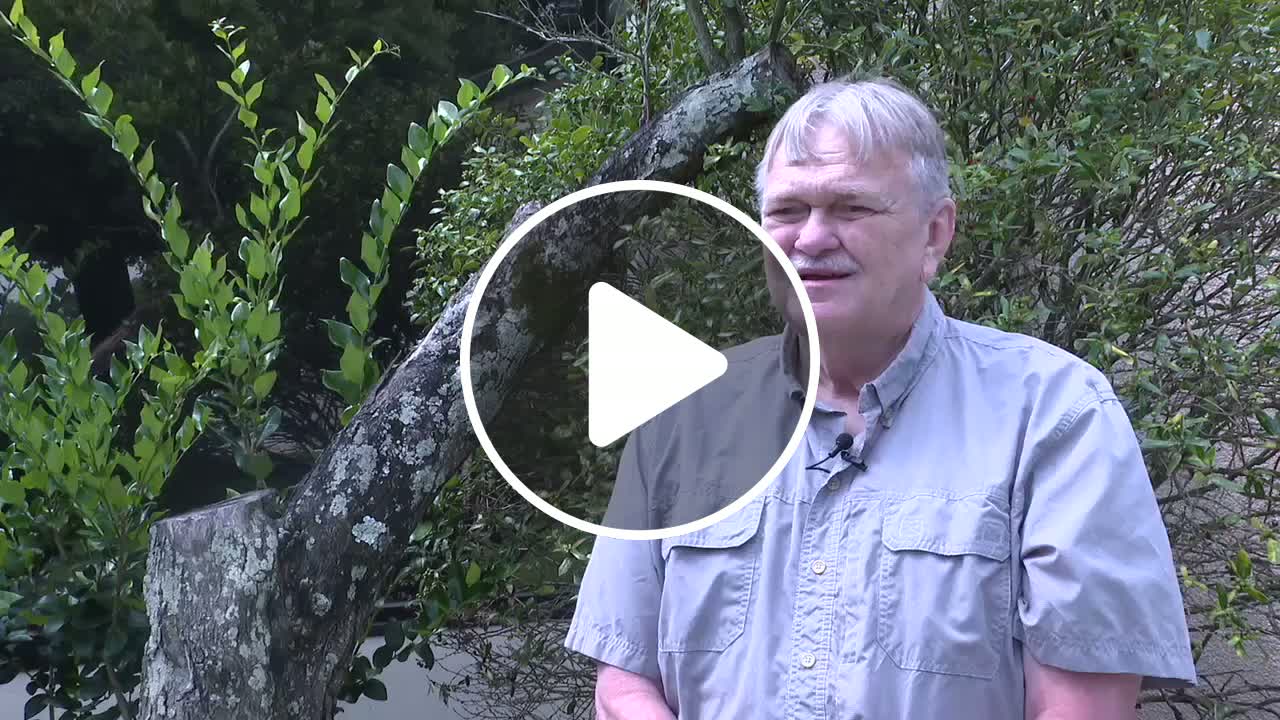 William "Bill" Spearman Chief of Police Interview - NewsBreak