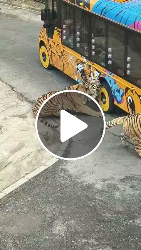 #trending#challenge#funny#fightcamI - NewsBreak