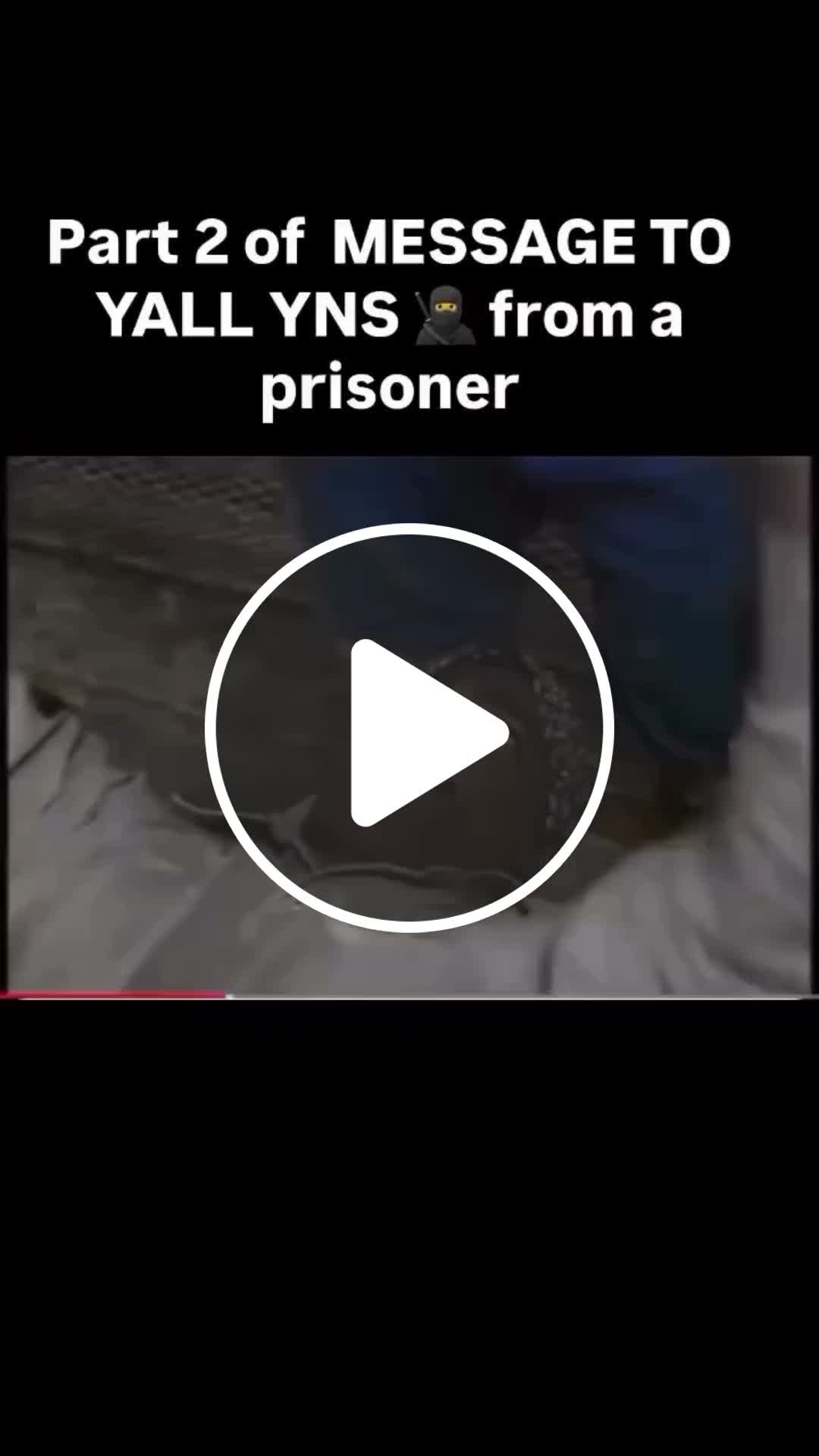 stay outta the pen or this can be you . #wowwwww - NewsBreak