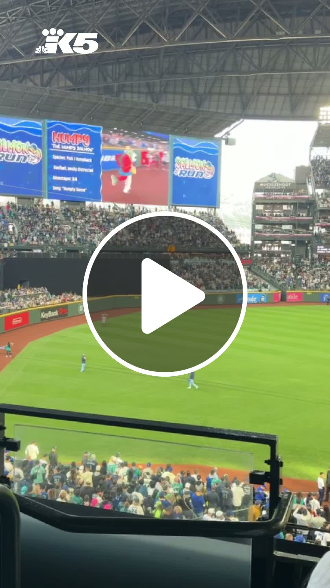 Salmon Run of ALCS Game 5 - NewsBreak