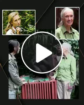 Jane Goodall passes away at the age of 91 from natural causes 🙏 🕊️ ...