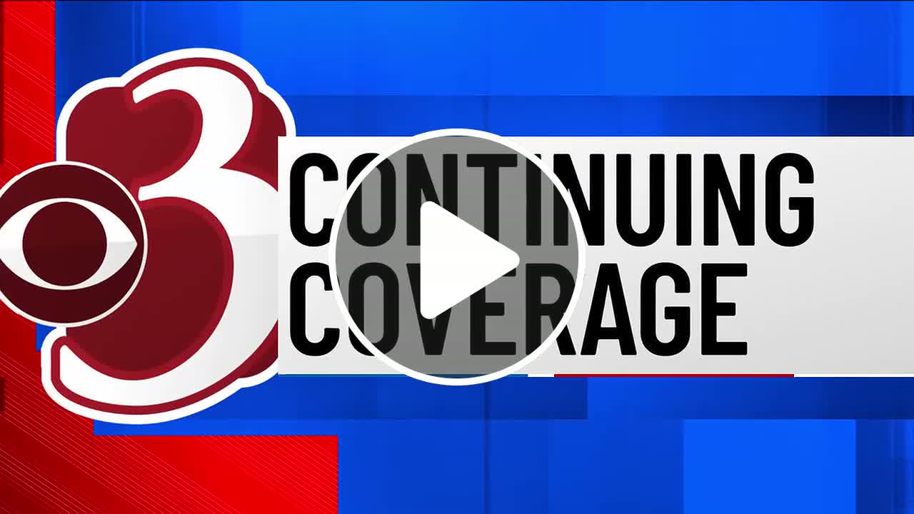 Taking a temperature check on bee health - NewsBreak
