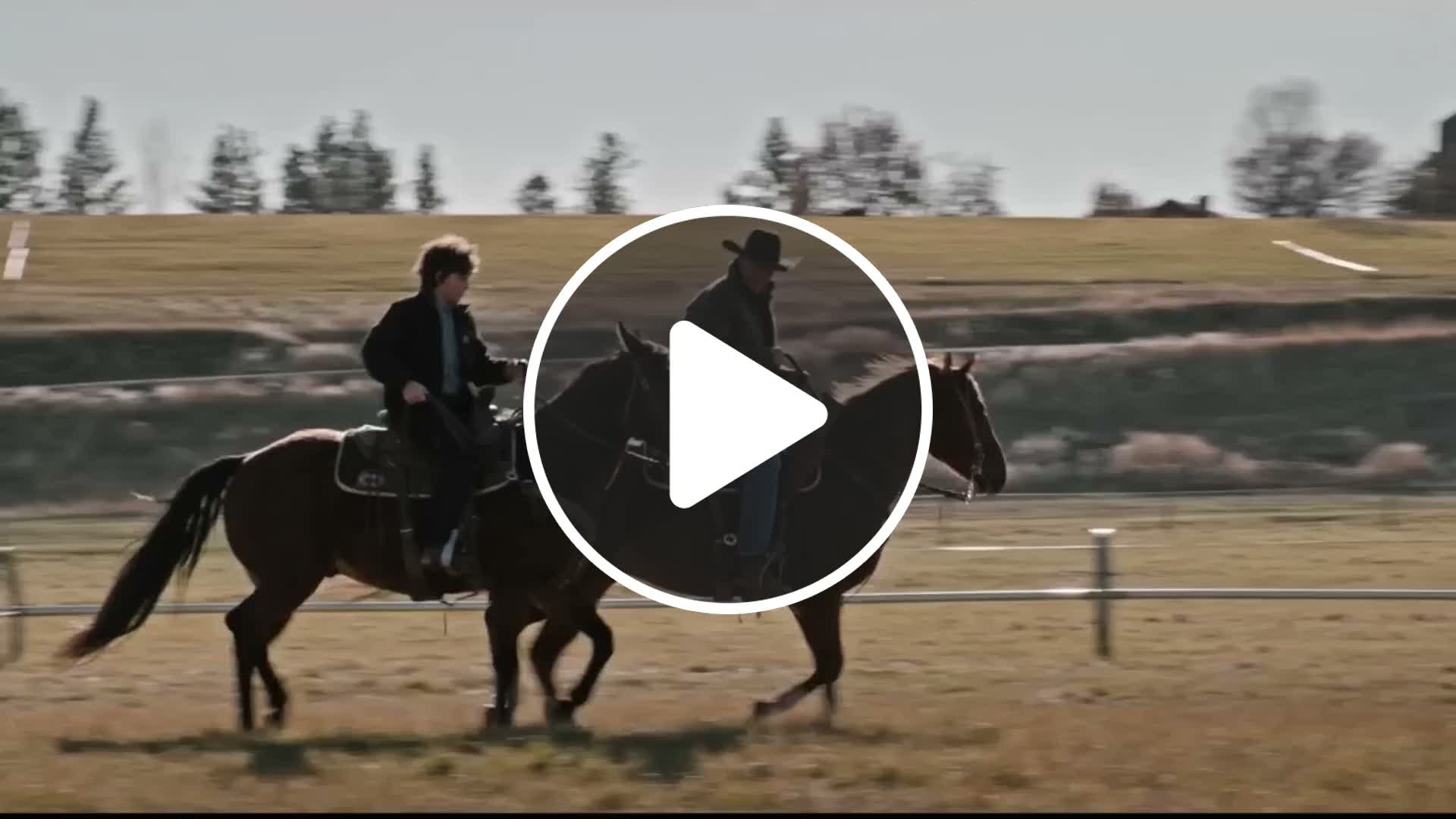 The Rip Scene That Went Too Far On Yellowstone - NewsBreak