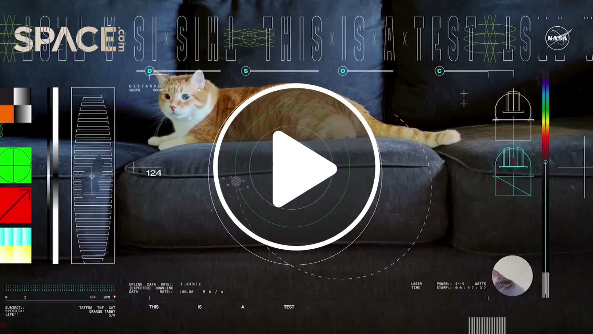 NASA Beams Cat Video 19 Million Miles Through Space Using Via A Laser ...