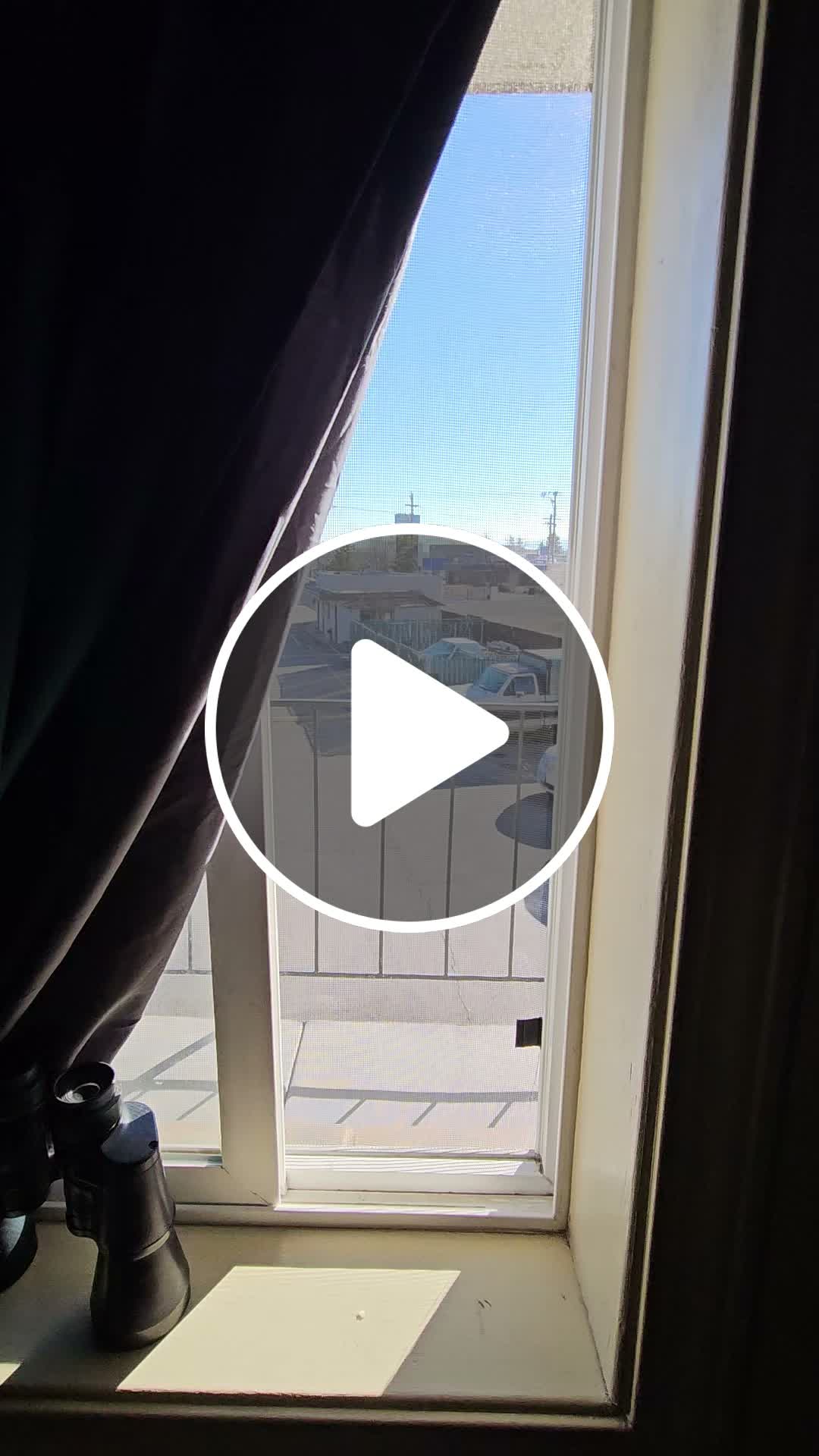 It is so much fun playing with my camera even though I can't see the ...