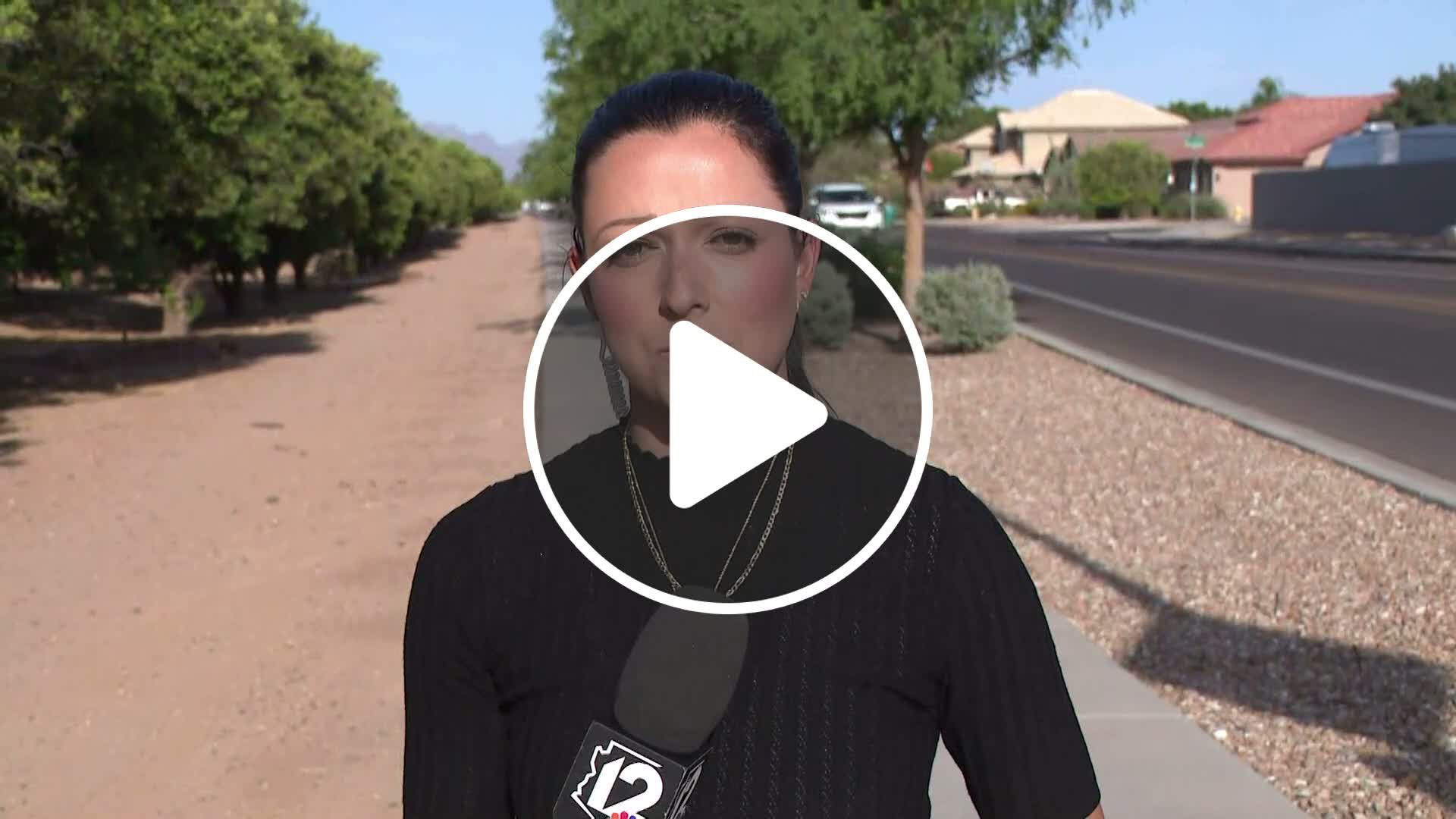 7-year-old girl missing from Camp Verde - NewsBreak
