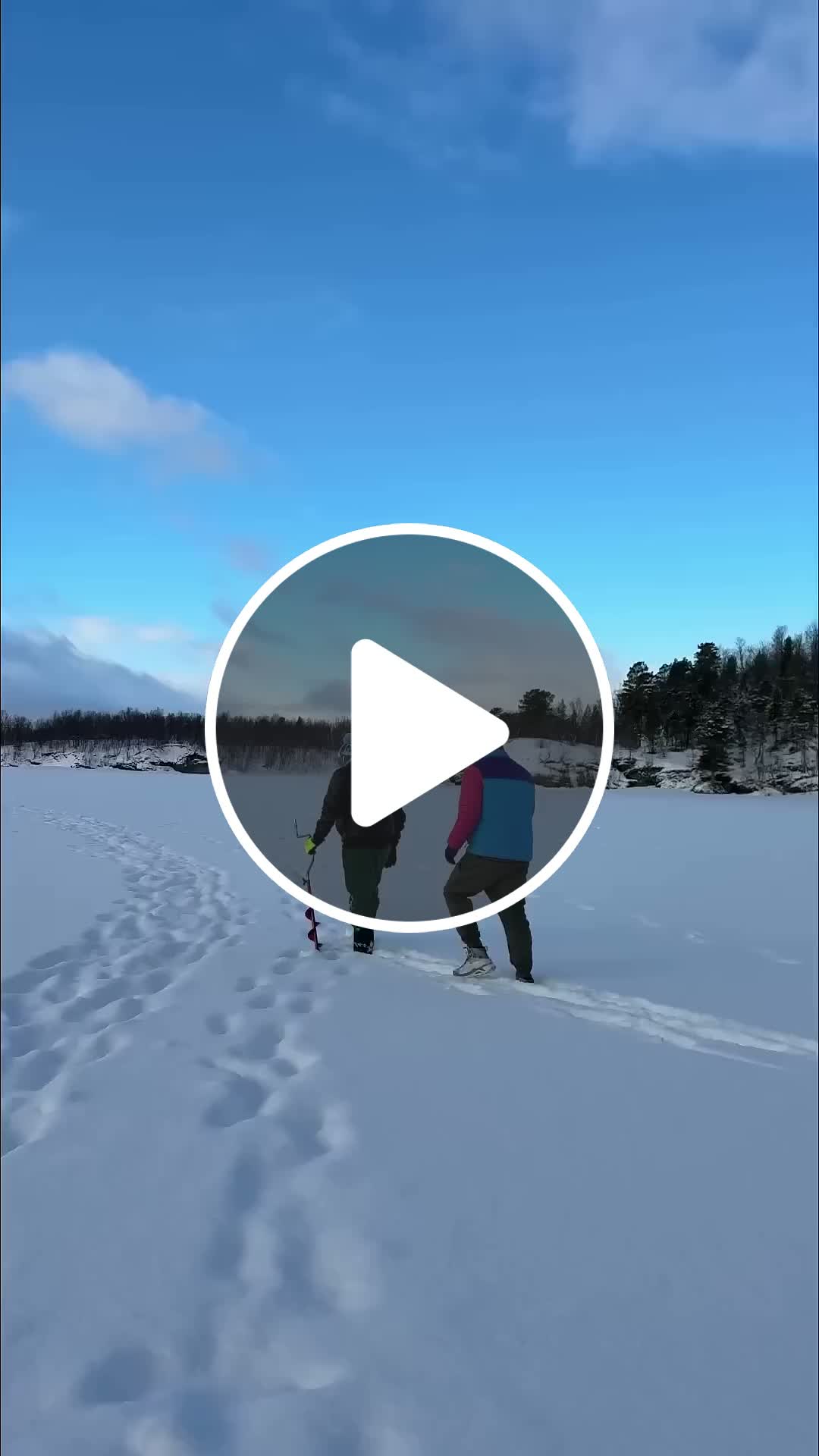 The real filet-O-fish - NewsBreak