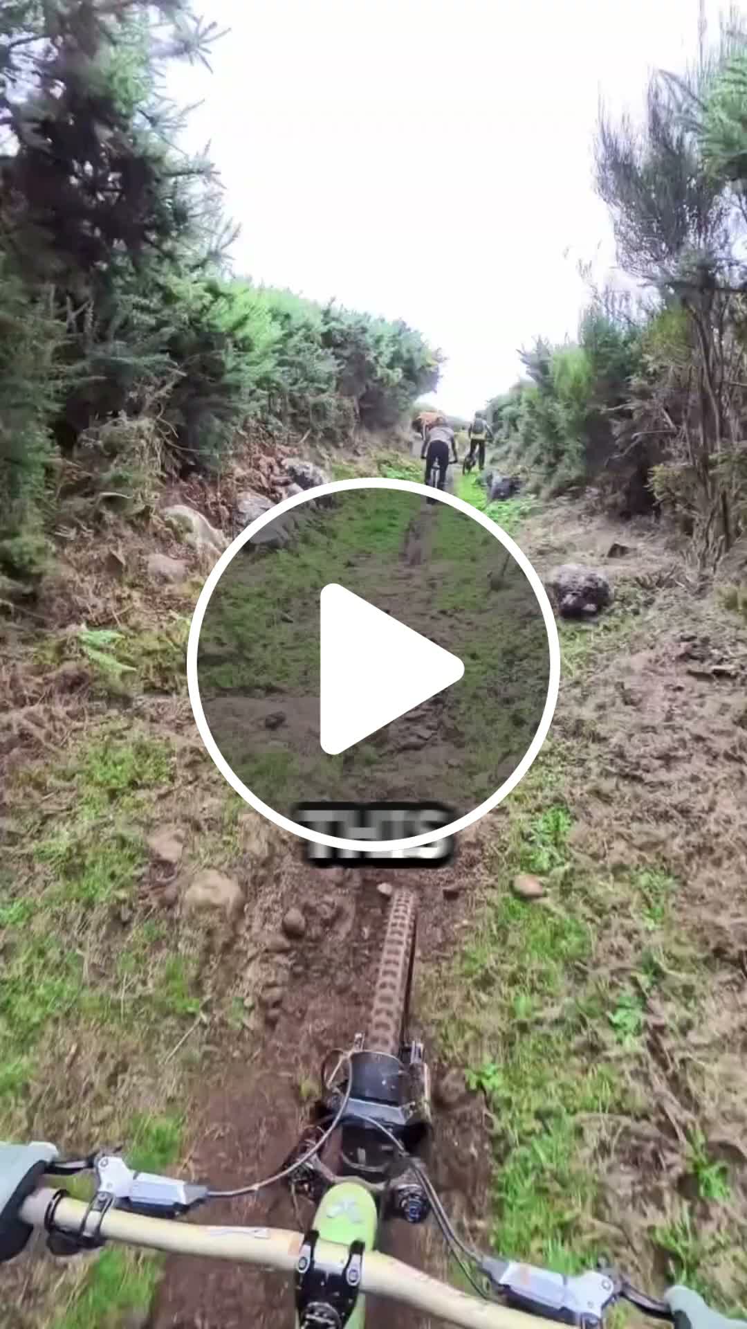 Never Run When a Bull Does This 😱 - NewsBreak