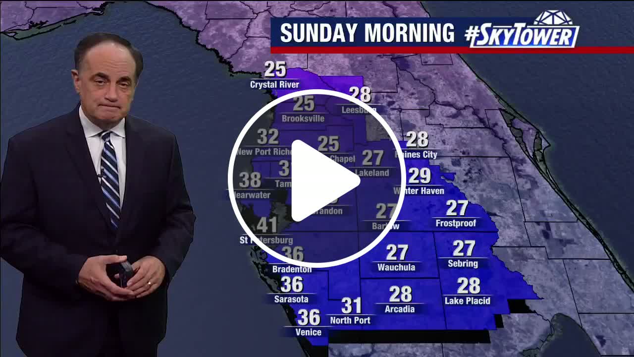 School bus employees arrested in child abuse case - NewsBreak