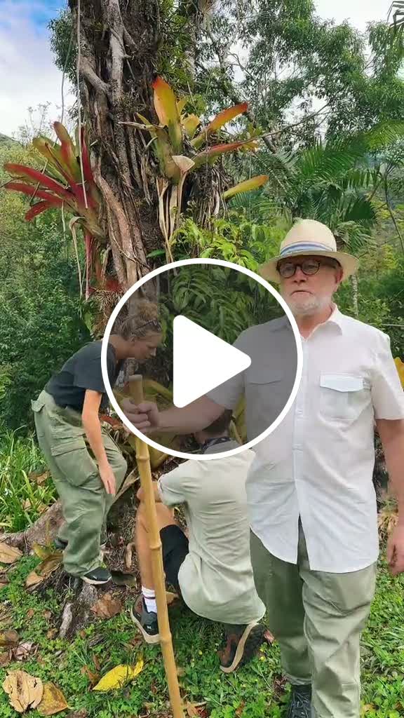Welcome to Jurassic Park Talamanca nature reserve jurassicpark ...