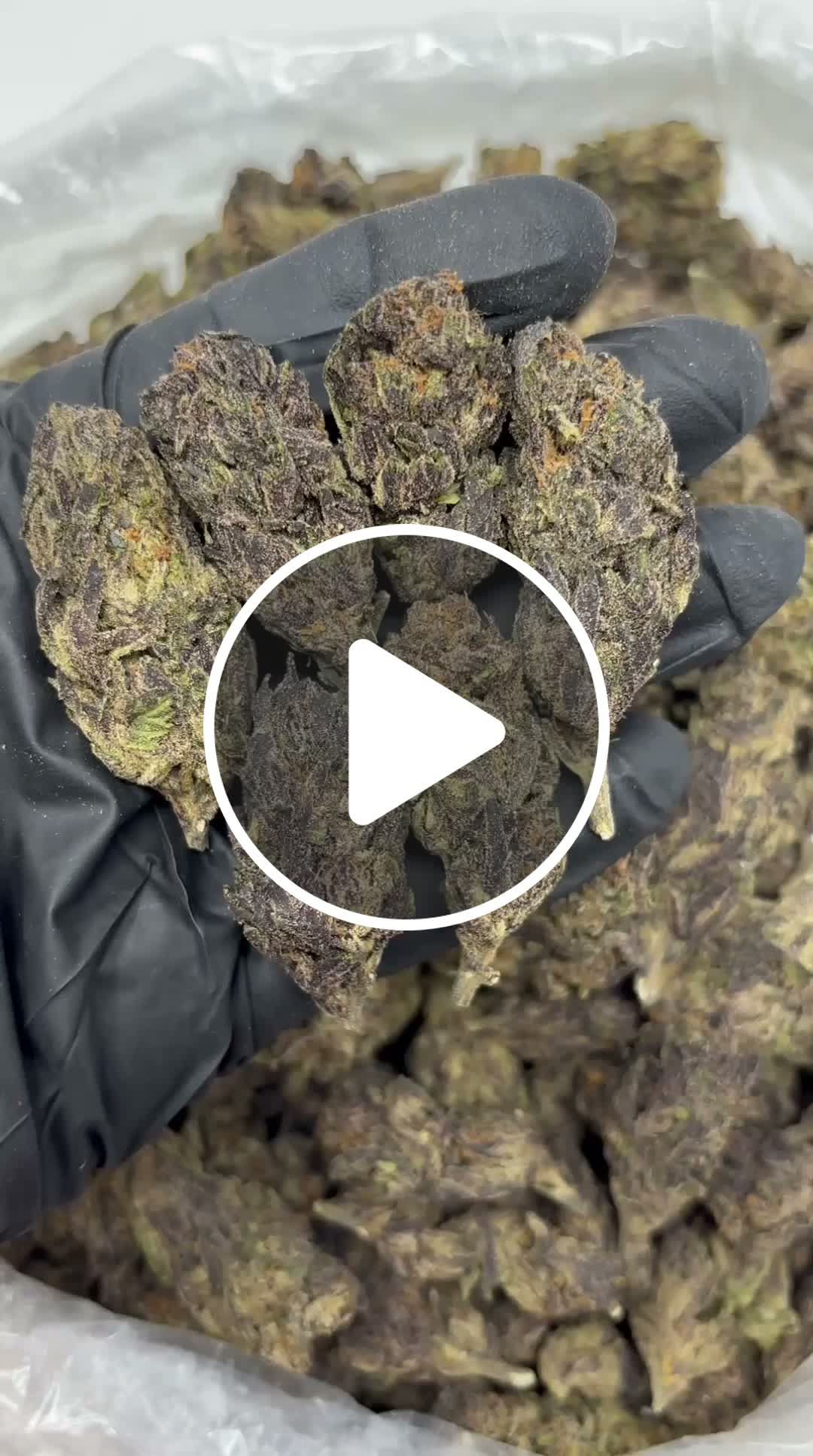 Sour patch kids 👶#UnpopularOpinion - NewsBreak