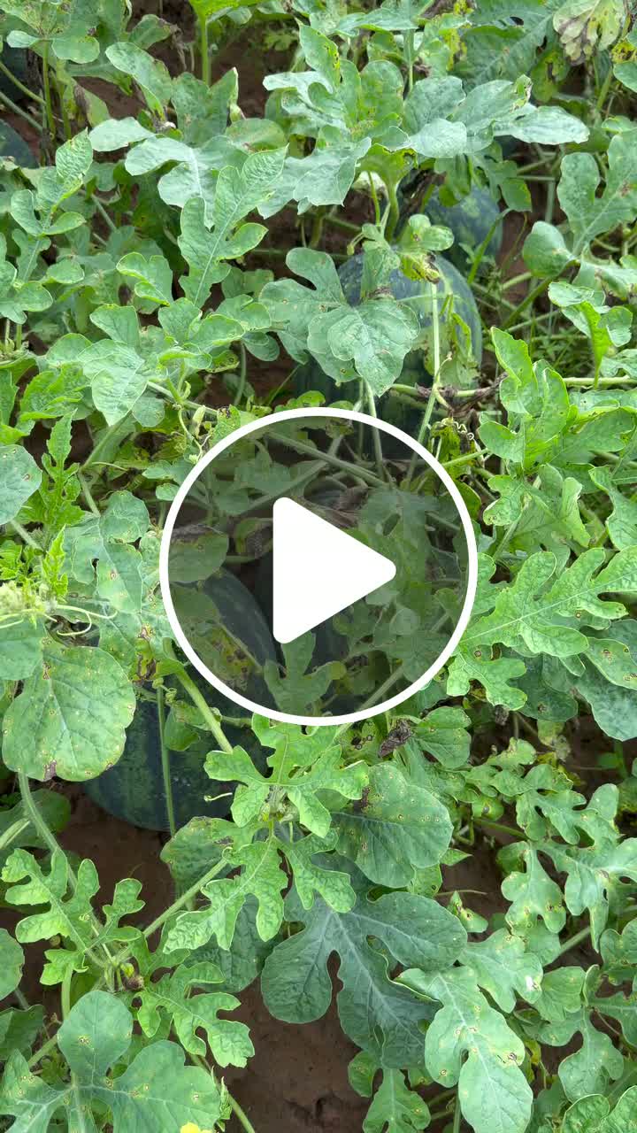 At 19 years old, Troy had experienced more than his share of traumatic ...