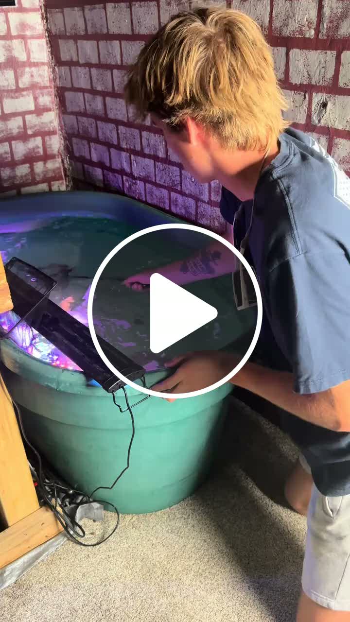 Why the turtle 🥹😂😂😂 - NewsBreak