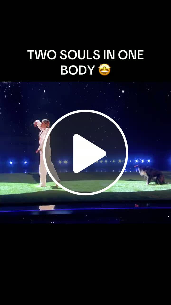 who won was it the dog or her - NewsBreak