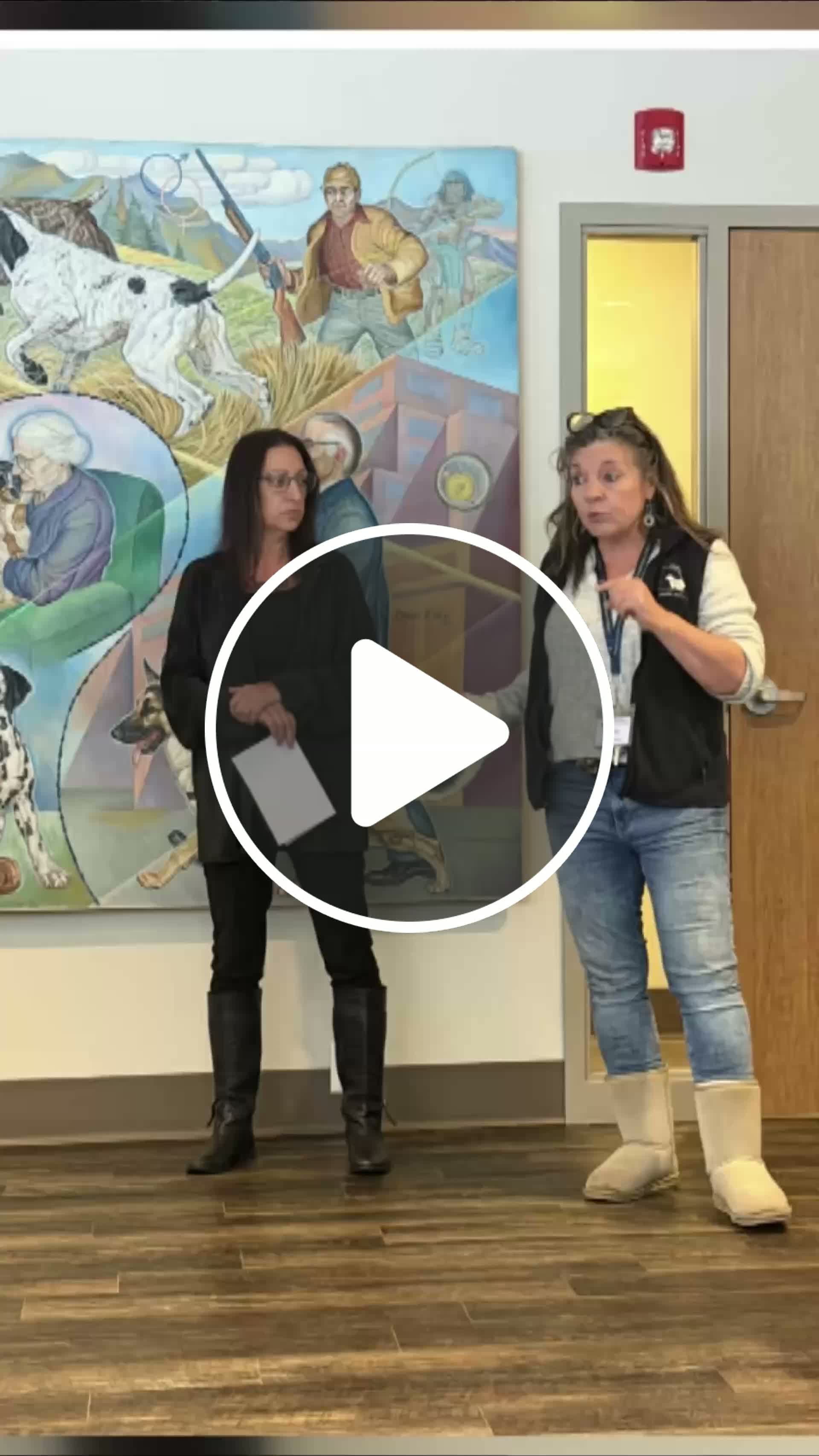 Army’s Legacy VP shares what to know about animal safety ahead of ...