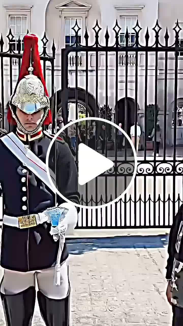 Royal guards love children 🥹 #children #kingsguard #royalguard # ...