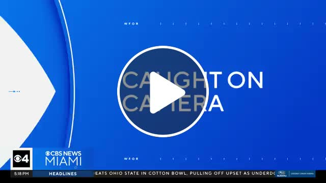 Disney cast member recovering after being hurt by prop boulder - NewsBreak