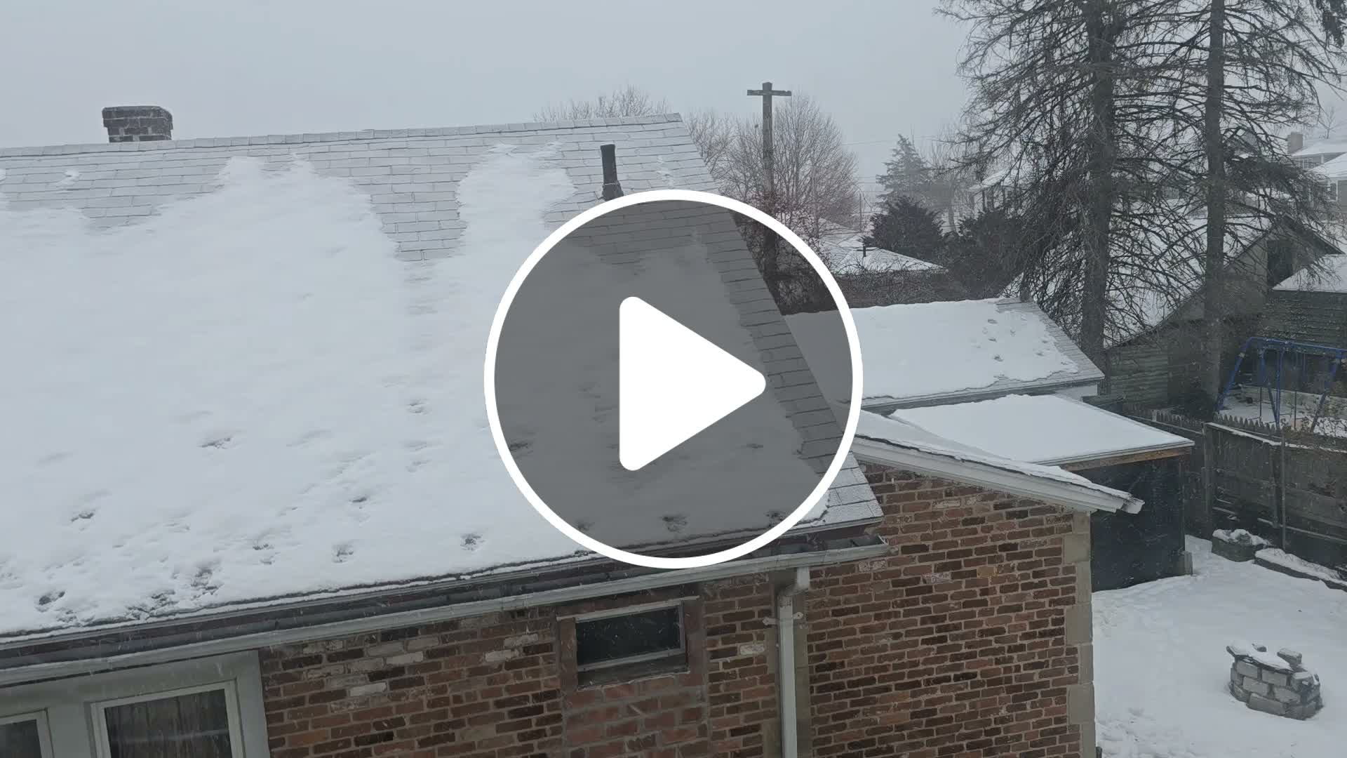 Snow storm #snowstorm #viralvideo #viral - NewsBreak