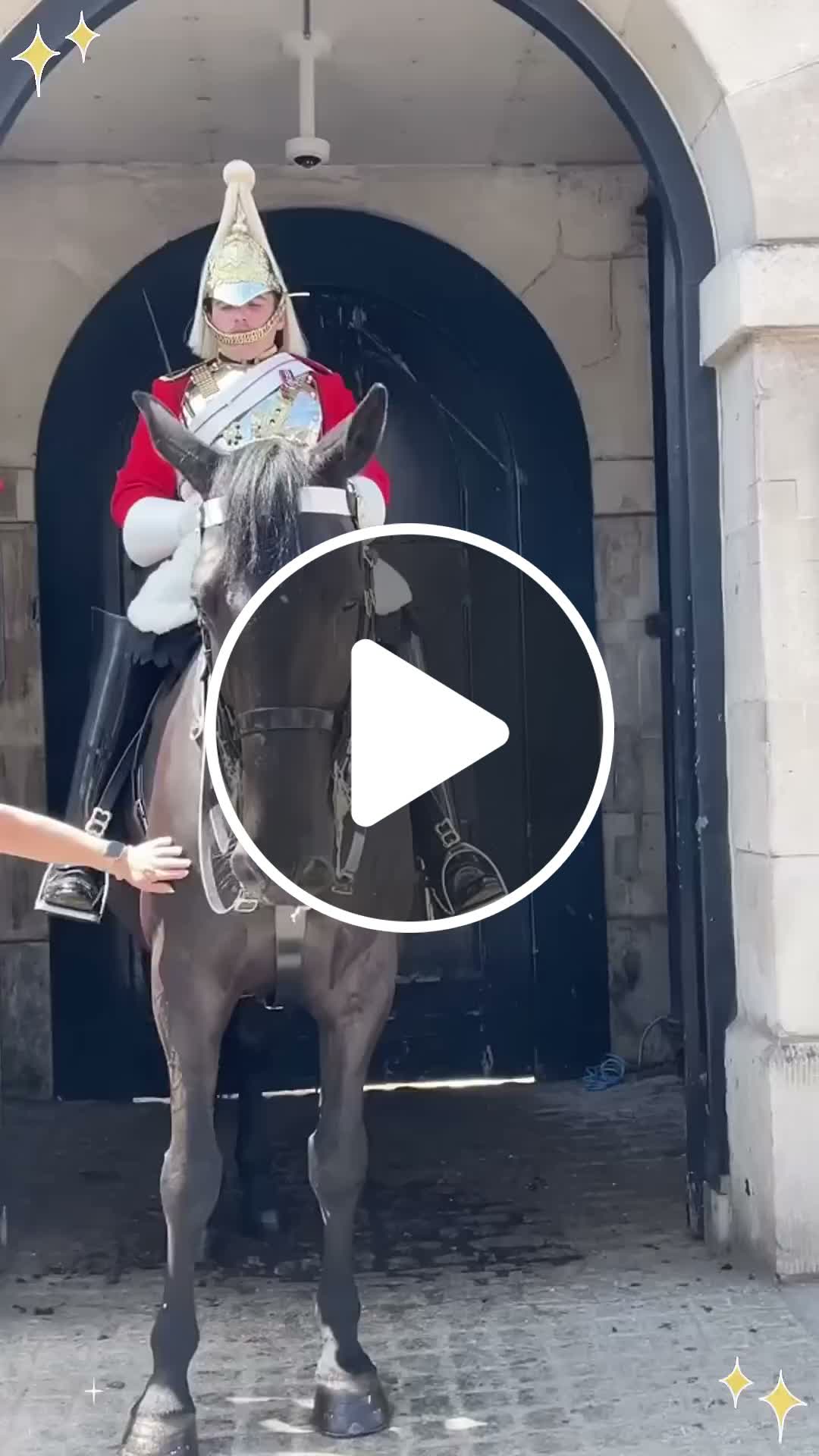Respect the King's Guards and their horses #respect - NewsBreak