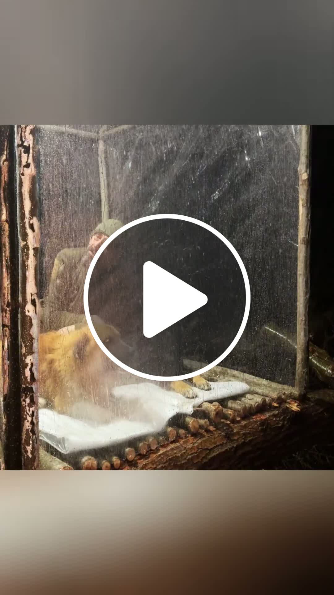 Building an amazing shelter over the water with plastic wrap #bushcraft ...