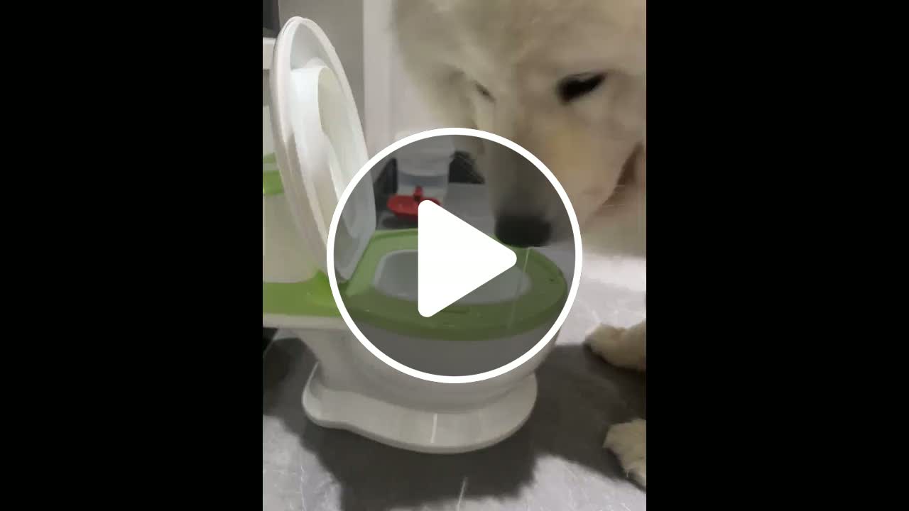 tell me why there is so much emotion and facial expressions - NewsBreak