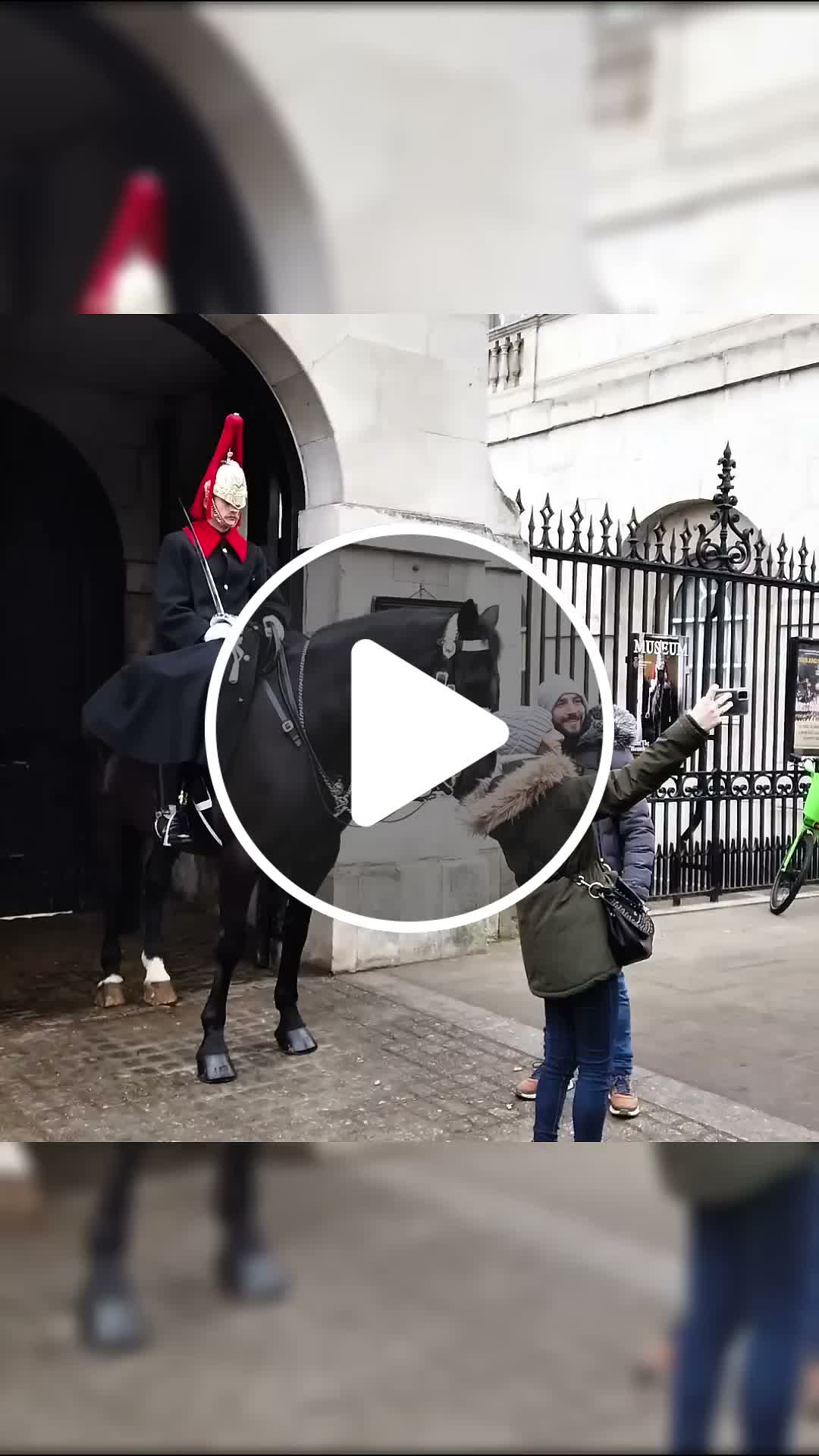 What Did He Feed the Horse Royal Guard’s Horse in Danger - NewsBreak