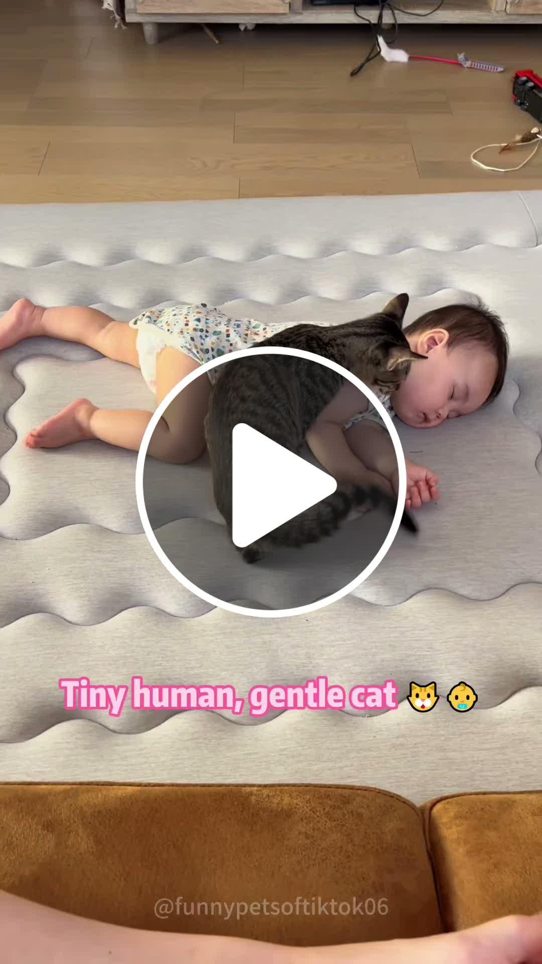 A friendship too pure for words.🐈👶🏻#cat #baby #wholesome #bestfriend ...