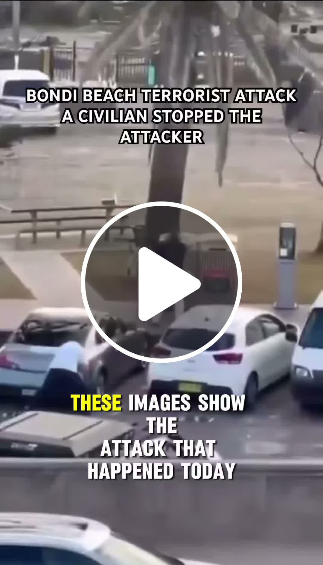 Bondi Beach Terrorist Attack — A Civilian Stopped the Attacker #shorts ...