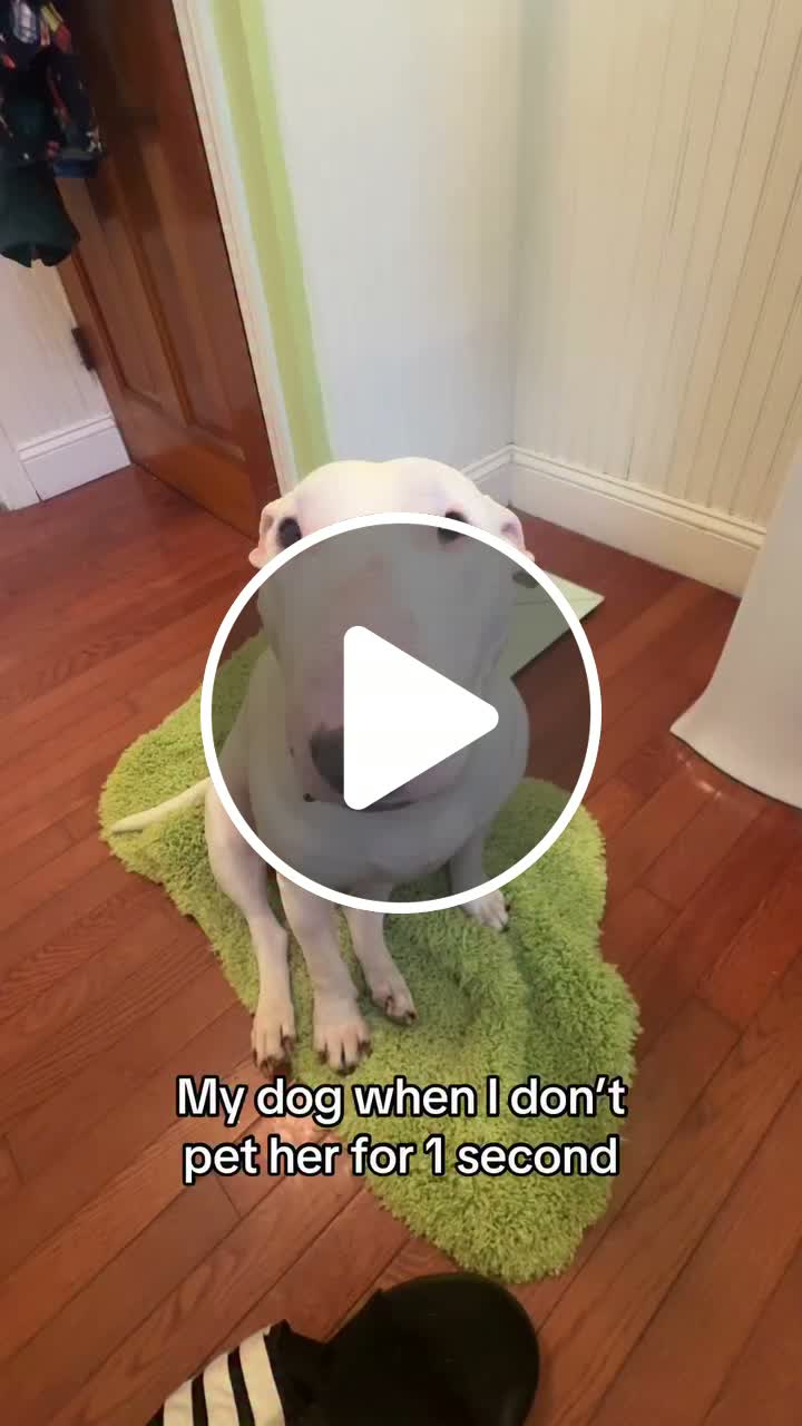 President Donald Trump ignites constitutional fight by claiming he’s ...