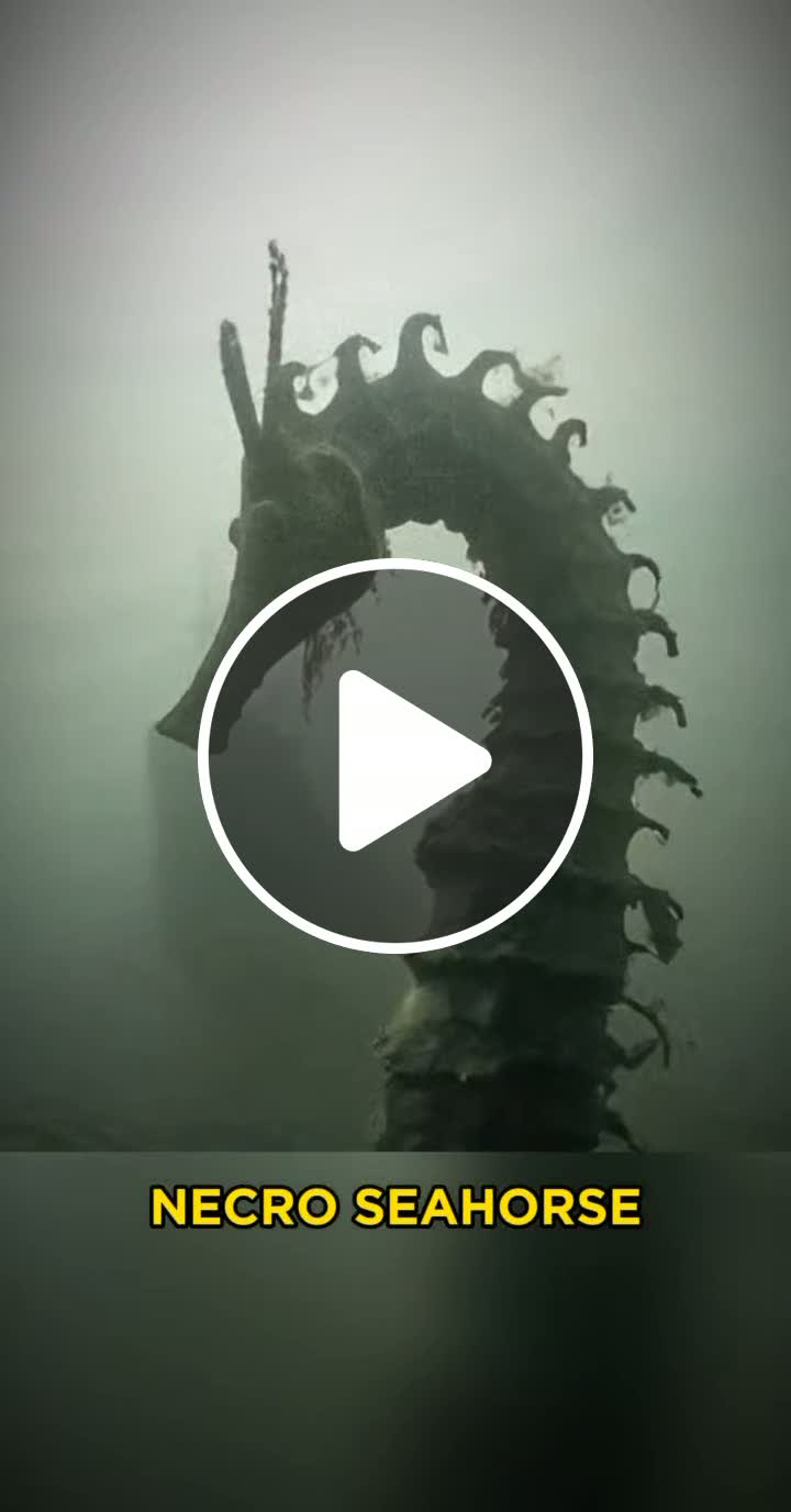 The Necro seahorse,an eerie yet mesmerizing creature, seamlessly blends ...