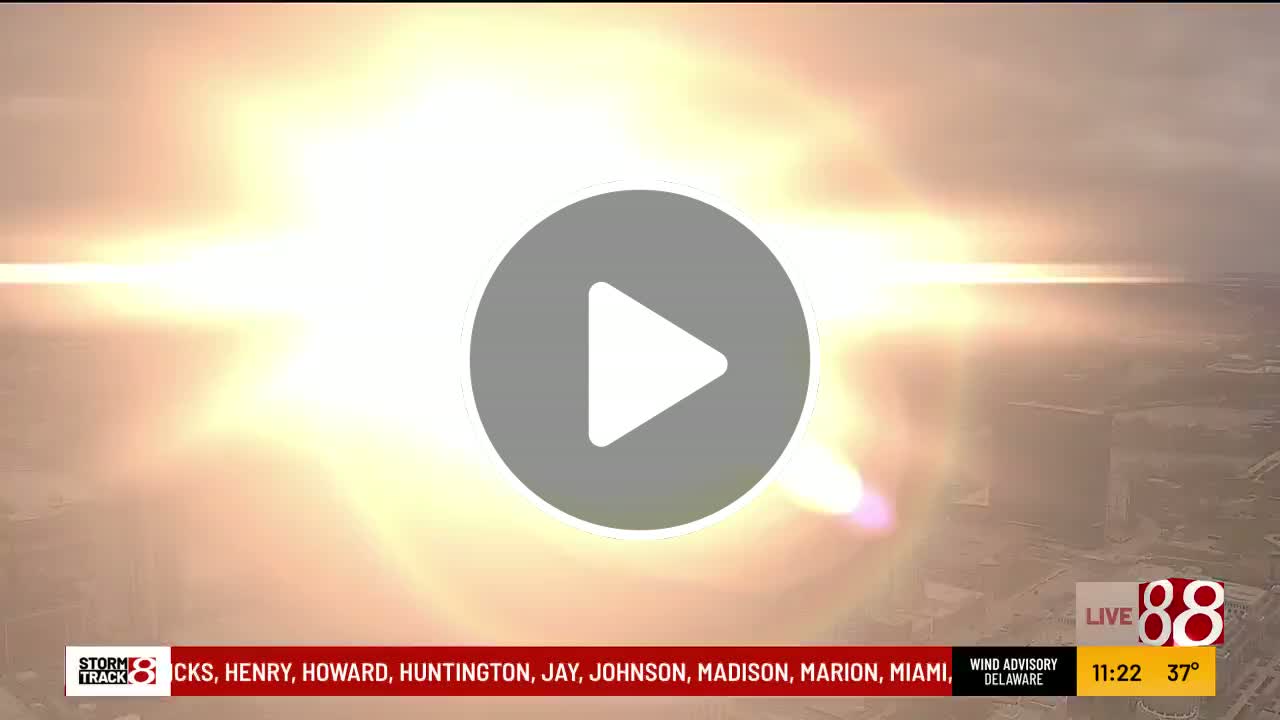 Pet Pals TV: Retired bomb-sniffing dog celebrates 16th birthday - NewsBreak