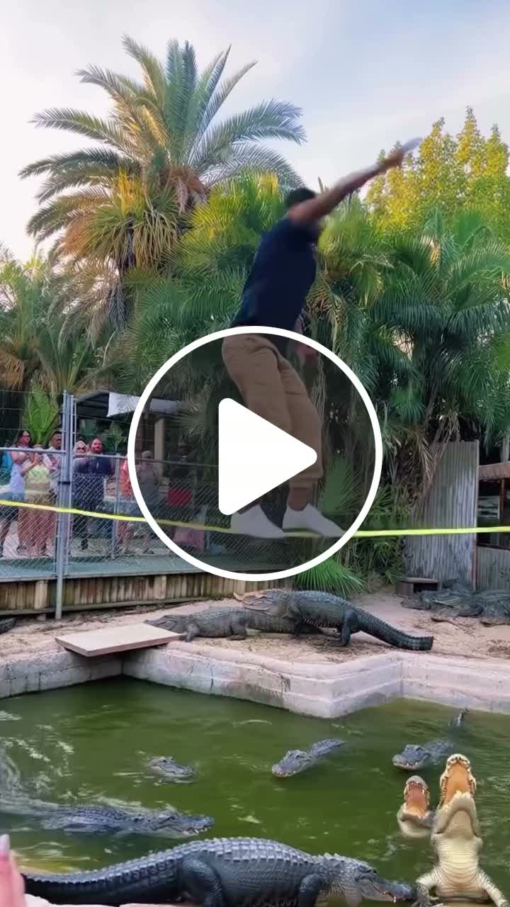 A deadly flip over - NewsBreak