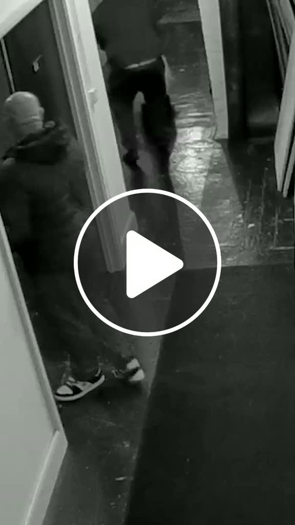 Satanic cult allegedly sacrifices goat in a rundown London office ...