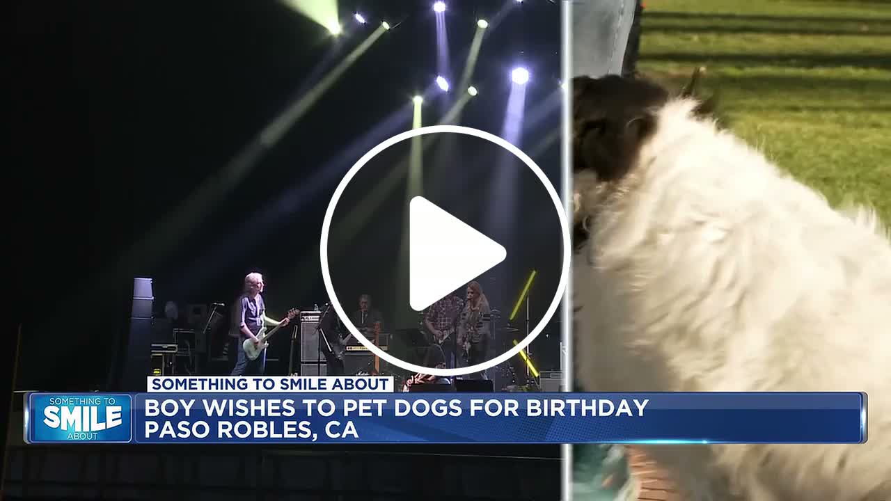 Joey’s Song “Freezing Man” rock festival brings in more than $300,000 ...