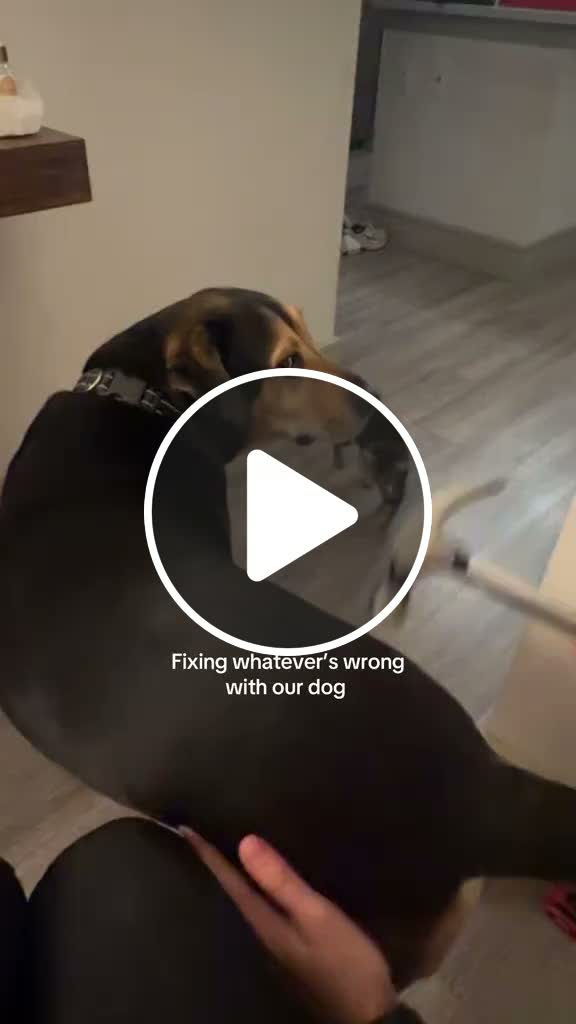 Our special boy #dogs - NewsBreak