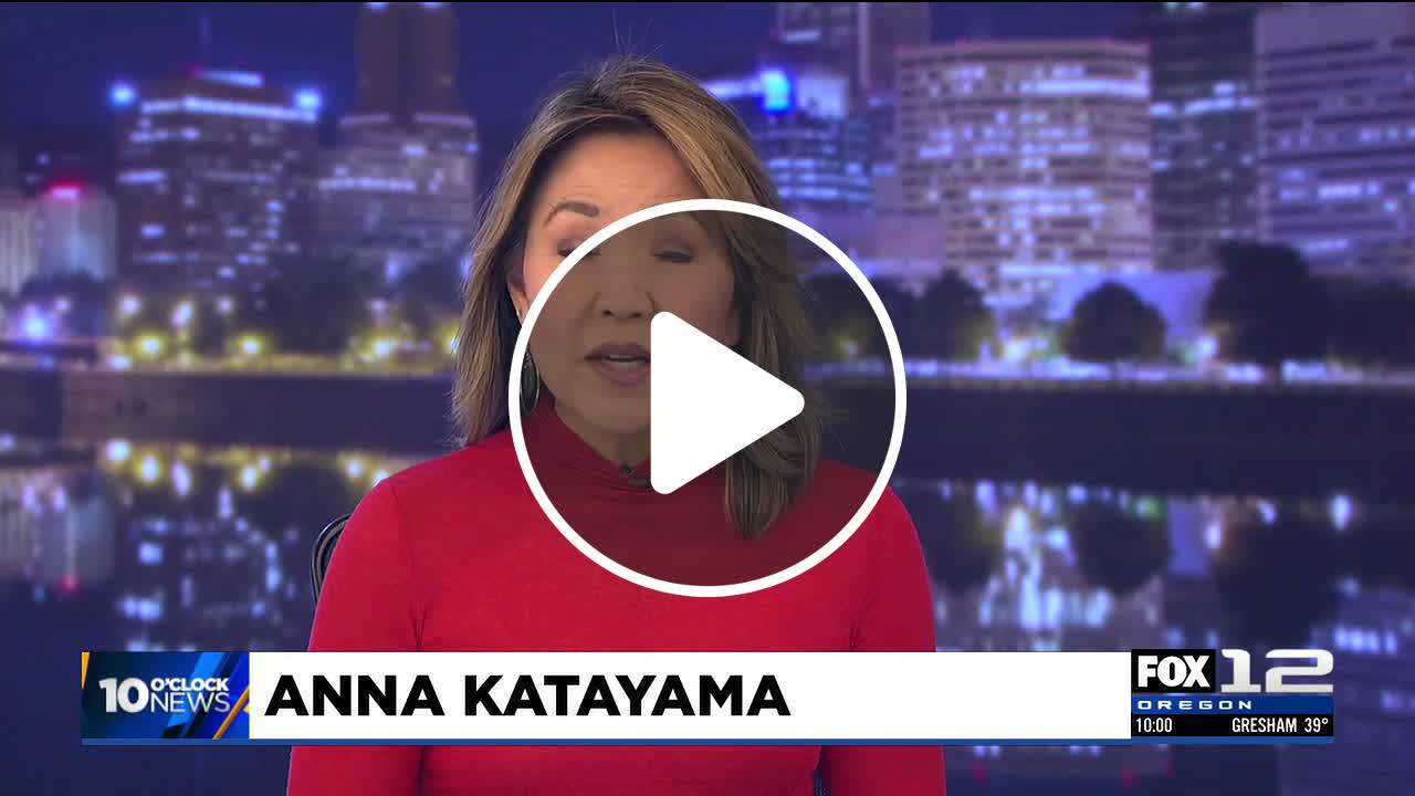 Passenger alleges he was assaulted by TriMet security guards on MAX ...