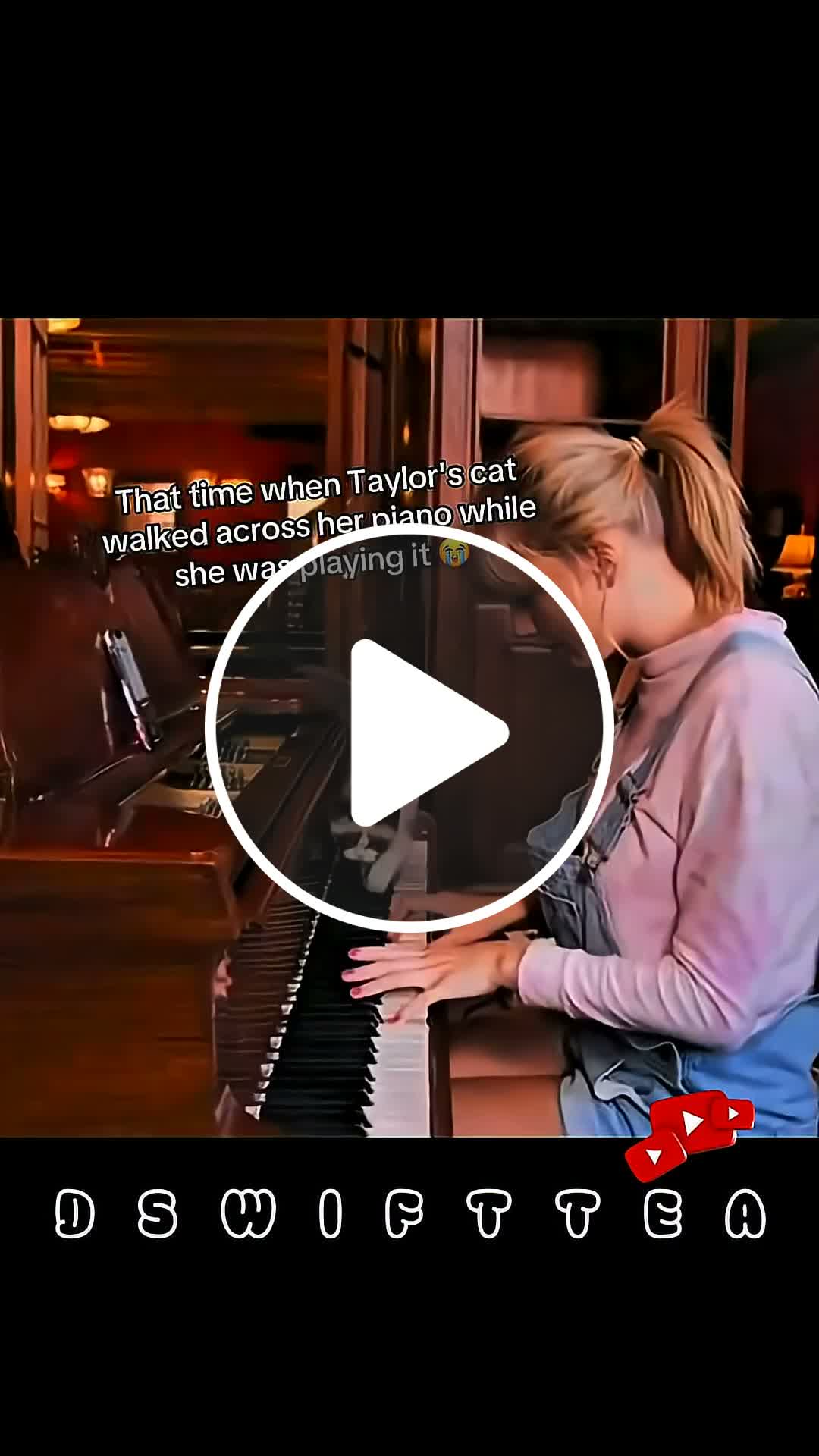 Taylor's cat walked across her piano while she was playing it #cat # ...