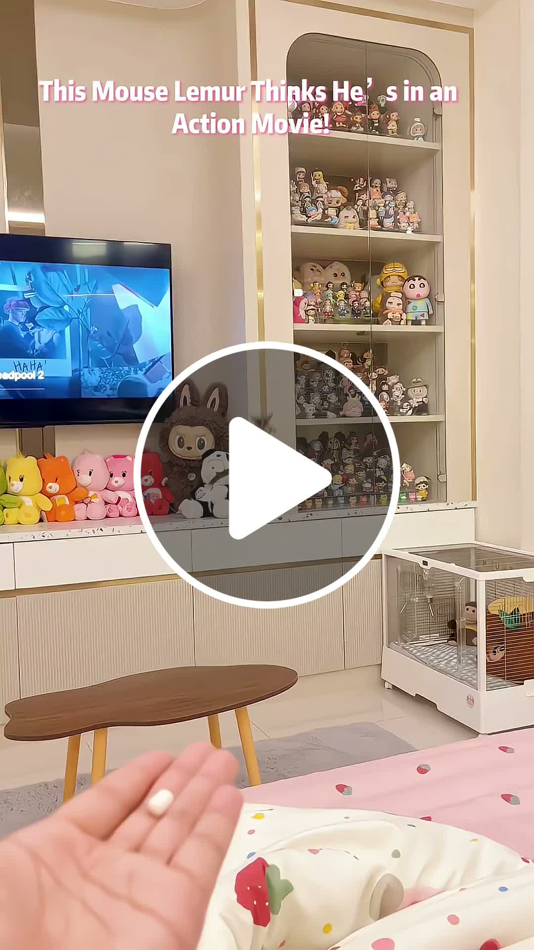 Funny baby monkey #shorts - NewsBreak