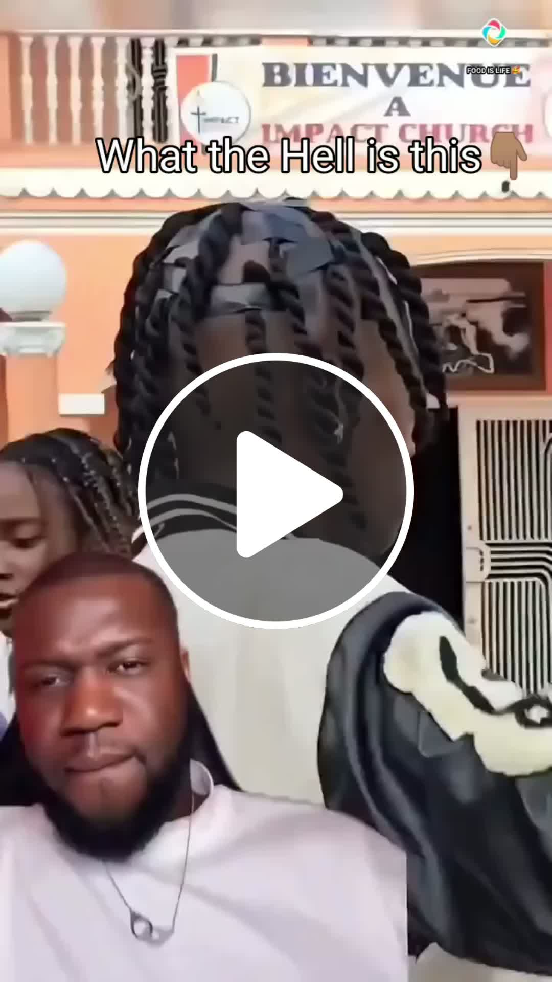 what in the hell is this ! - NewsBreak