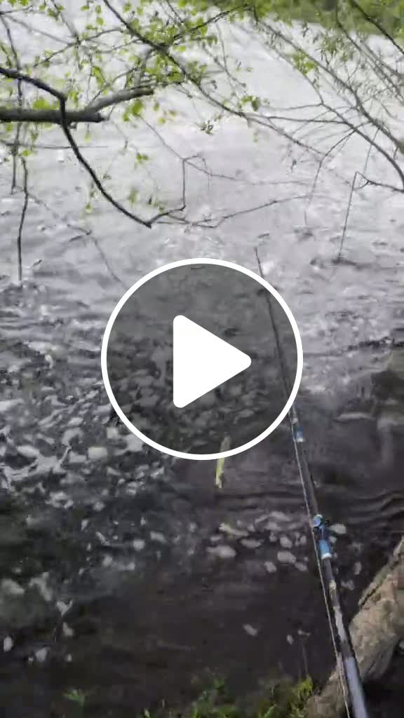 lil baby #musky from a tight spot. #fishing #muskyfishing - NewsBreak