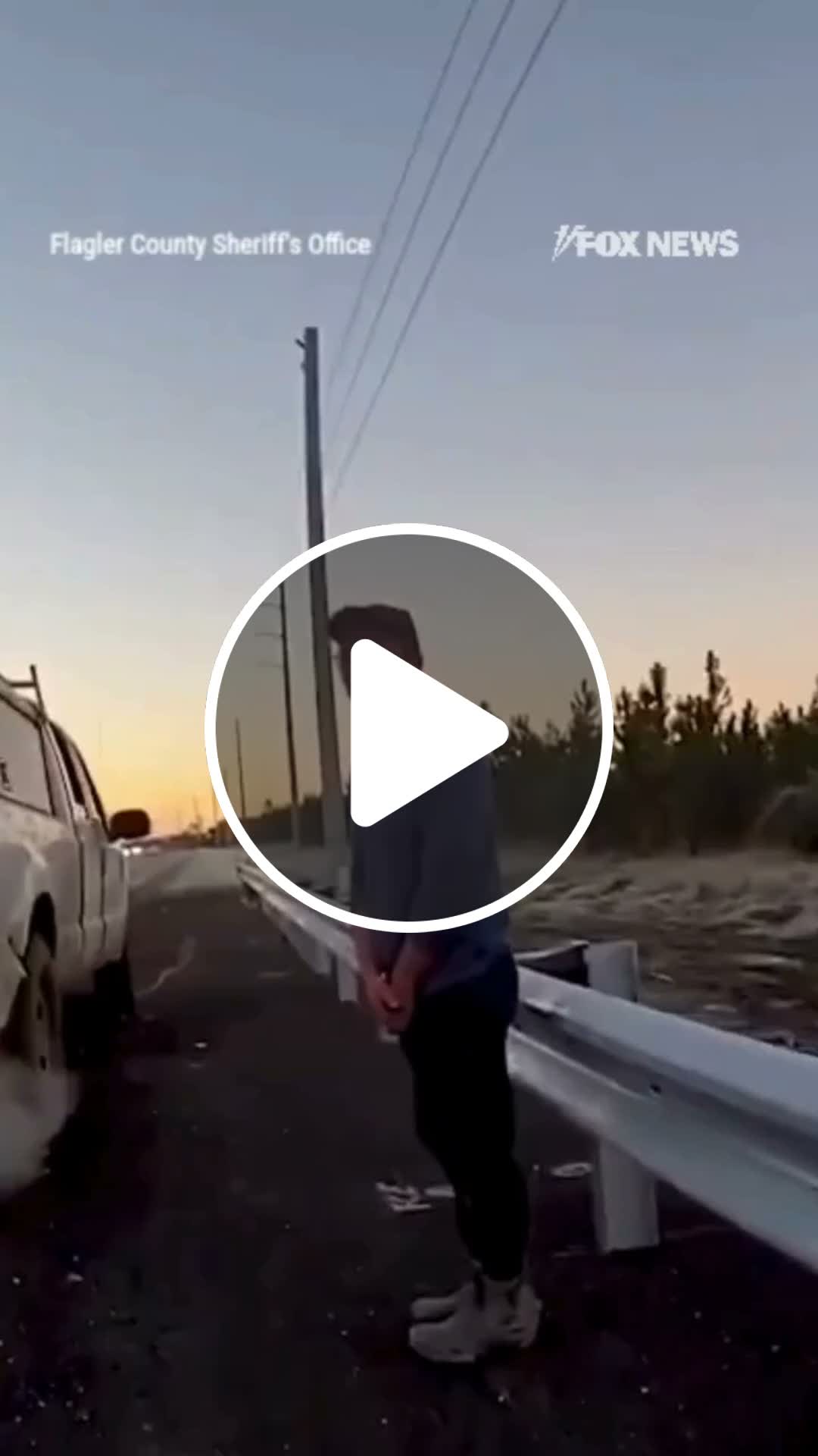 🚨🚓 TRAFFIC STOP FROM HELL — CHILD FOUND WITH CONVICTED SEX OFFENDER 🚓🚨A ...