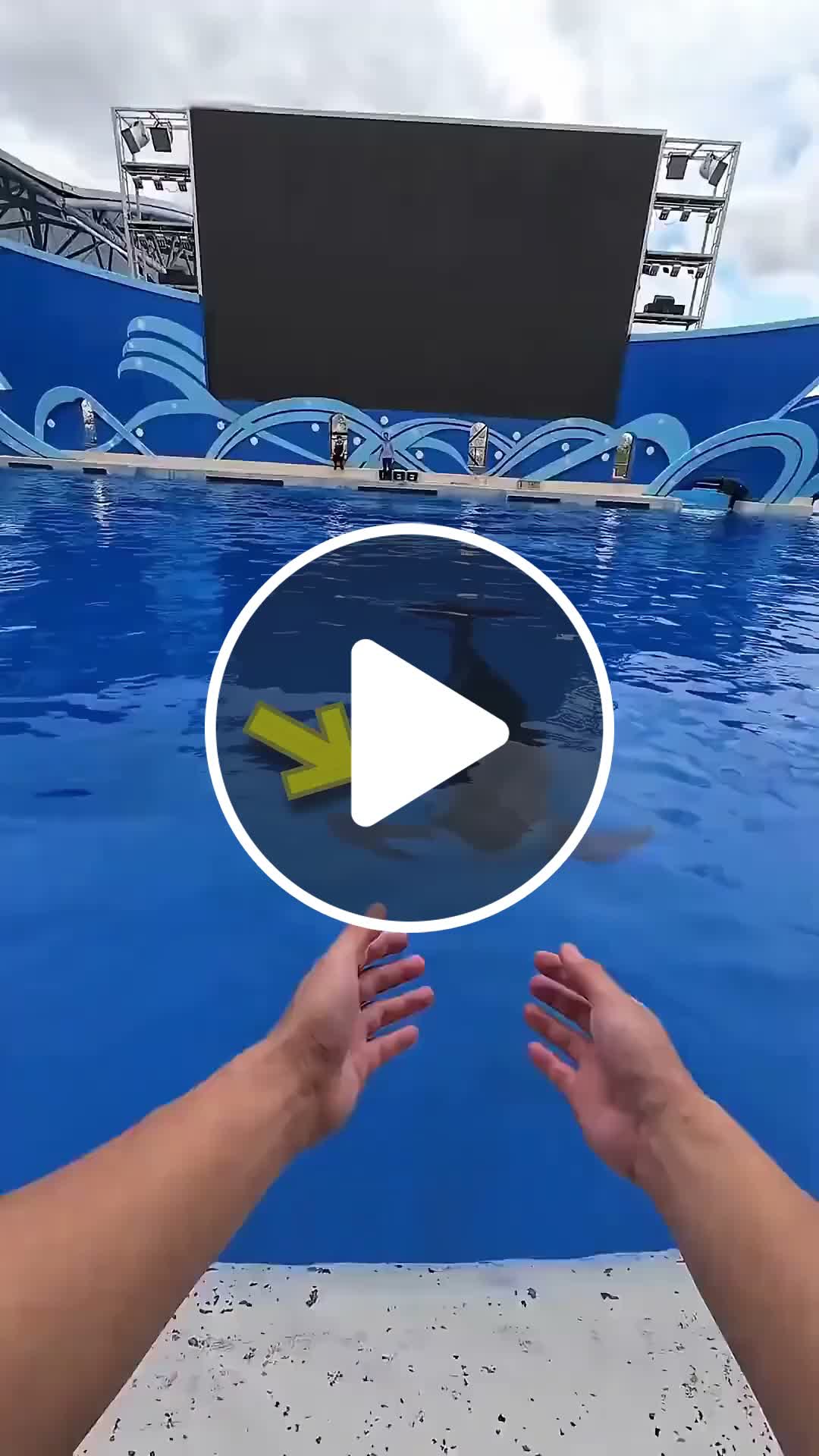 This Boy Takes Care of the Dolphin ️ - NewsBreak