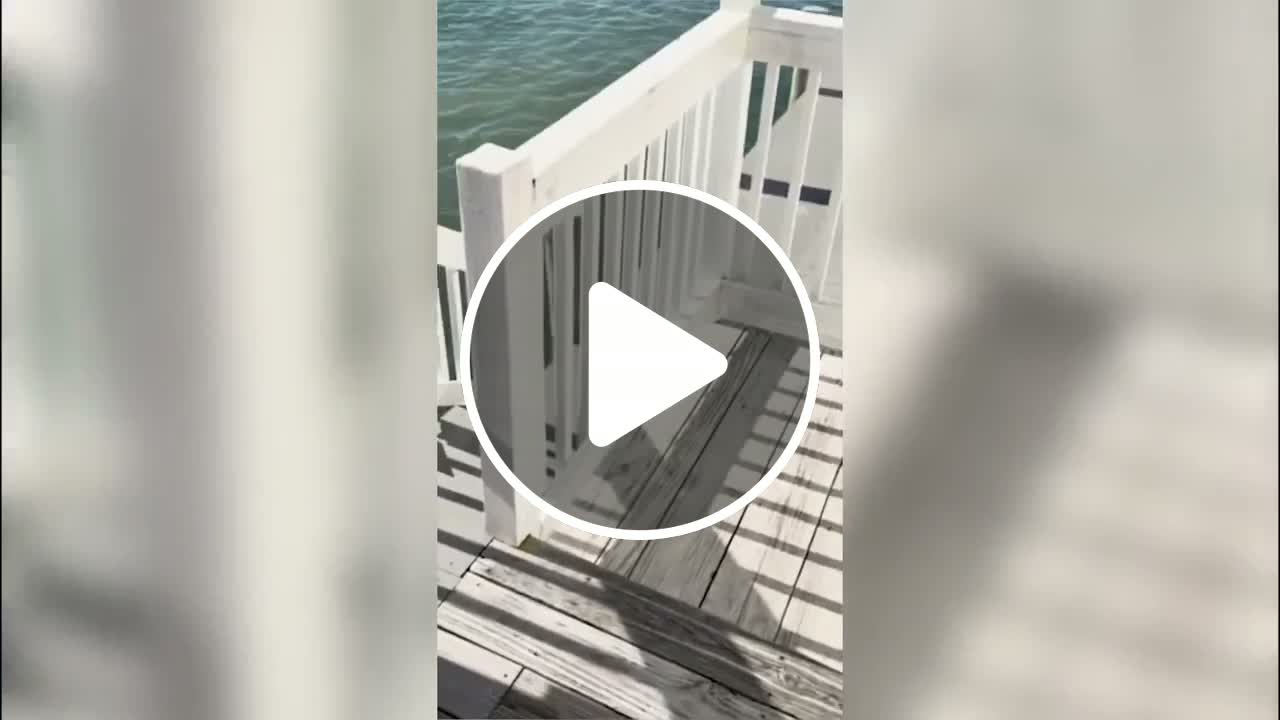Video shows daring rescue after car goes into water at Back Deck, Bubba ...