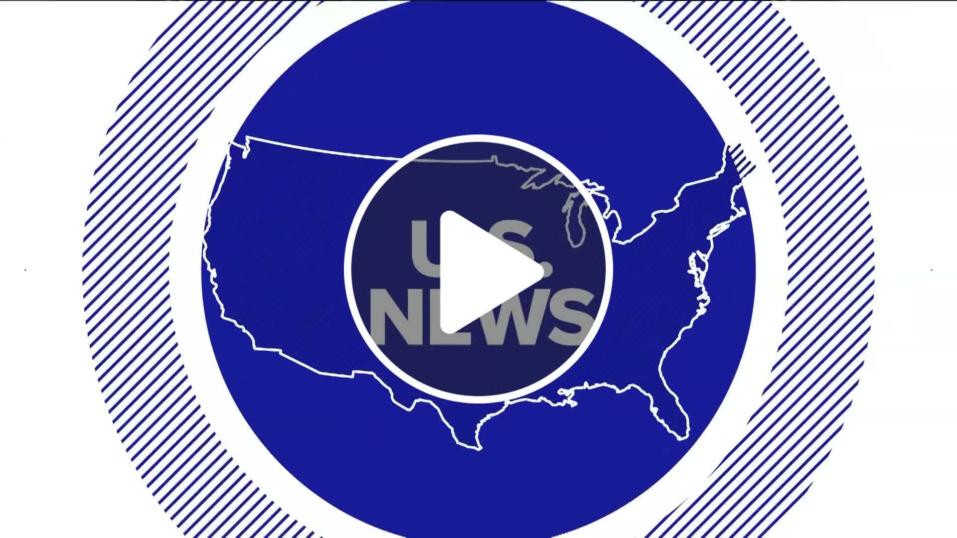 FBI started, then stopped, investigating ICE officer that shot Renee ...