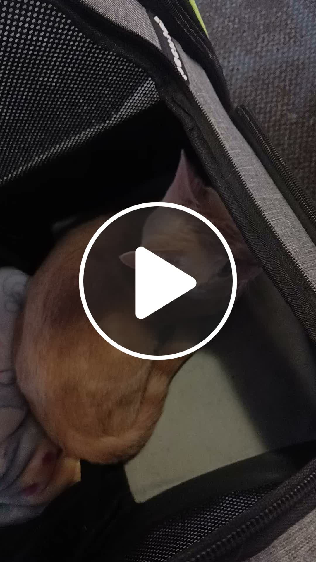 ready to go home 😁 - NewsBreak