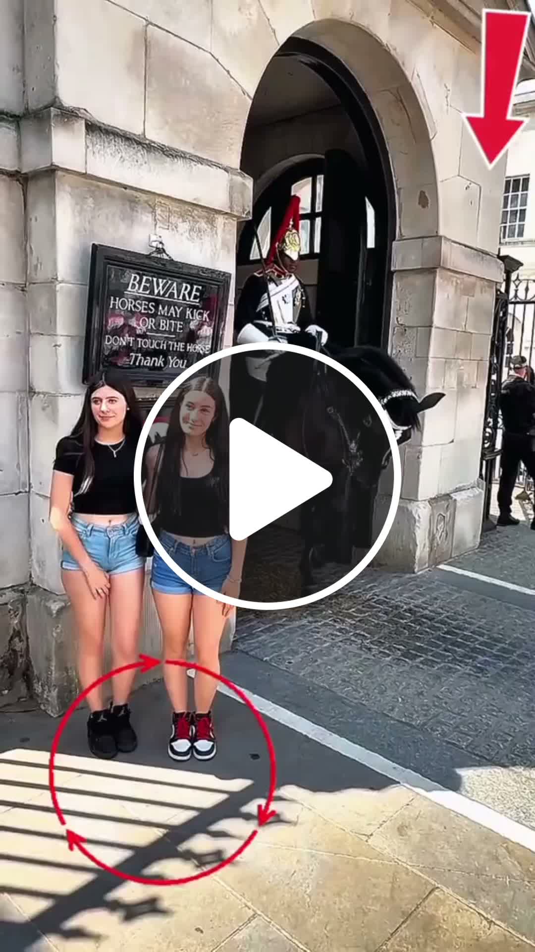 why king guard horse angry #kingguard #royalguard #kingguardhorse # ...