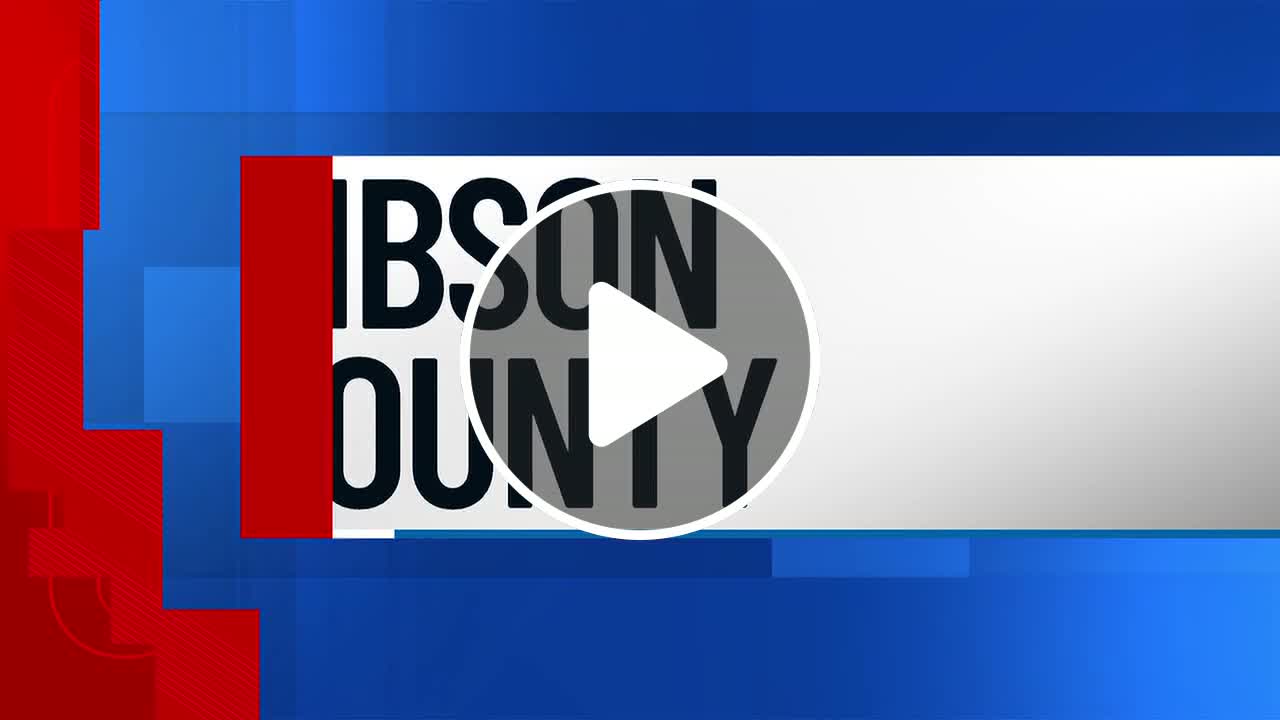 Mustang driver clocked at nearly 115 mph on Highway 41, deputies say ...